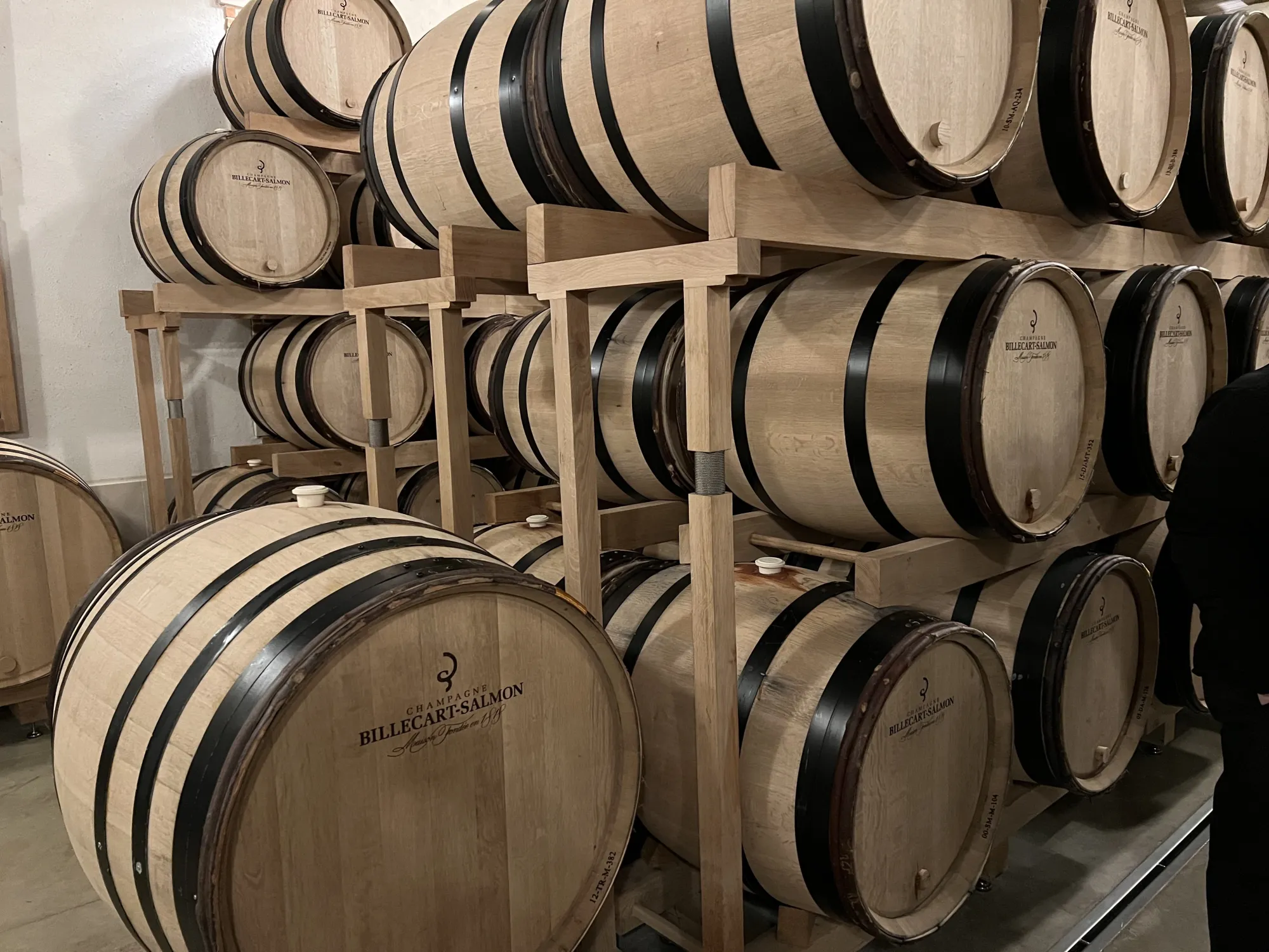 Forests of France: old oak trees tranformed into wine barrels