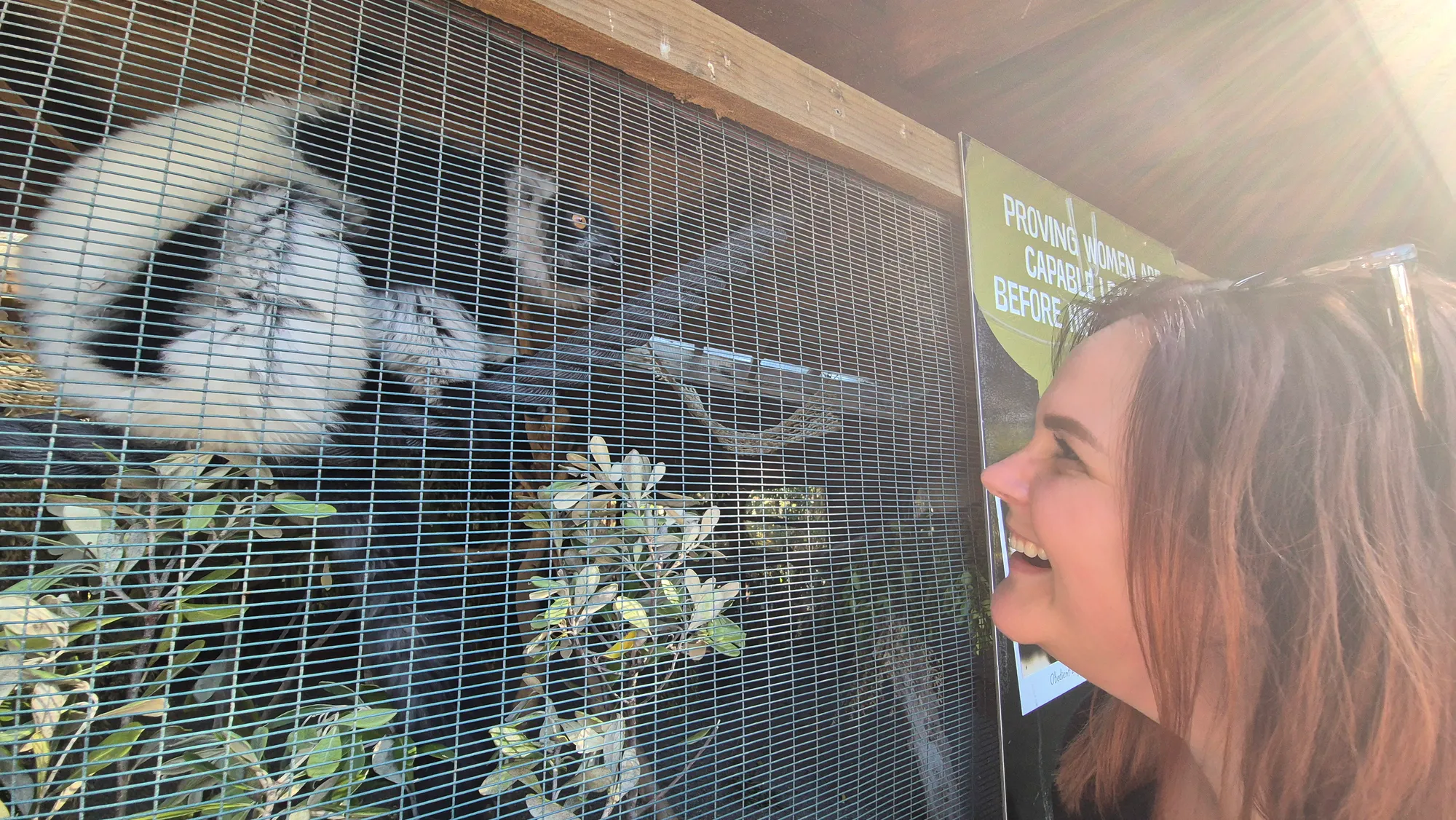 Monkey business at the Natureland Findex BA5 | Nelson Tasman Chamber of ...