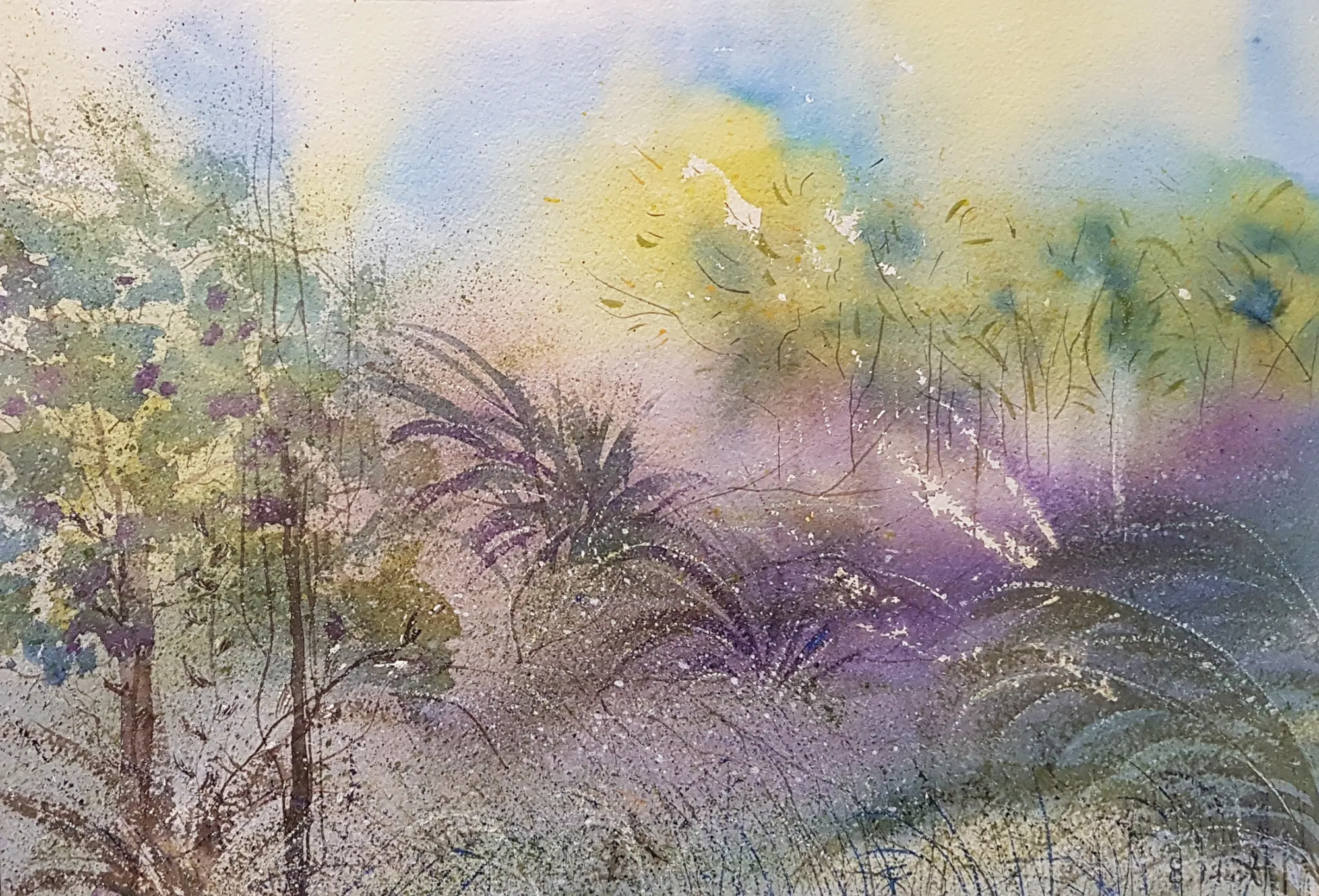 Pick of the Week: 'Bush Magic' by Liz Hart